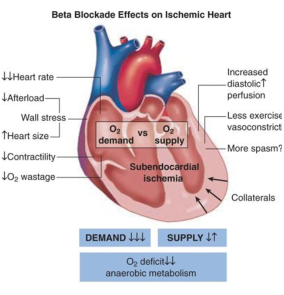 The Beta Blockade – Doctor B (the PT)